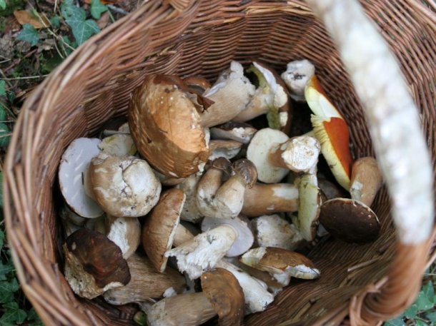 Ghebe murate | Muraturi simple | Culinar.RO