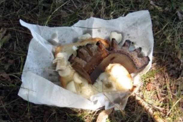 Clisa fripta si pita picurata | Jumari | Culinar.RO