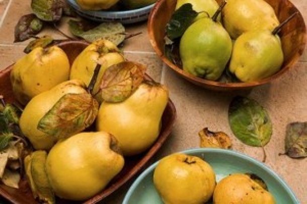 Compot de gutui aromat | Compoturi | Culinar.RO