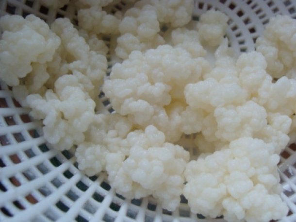Ce este Kefirul? | Farmacia verde | Culinar.RO